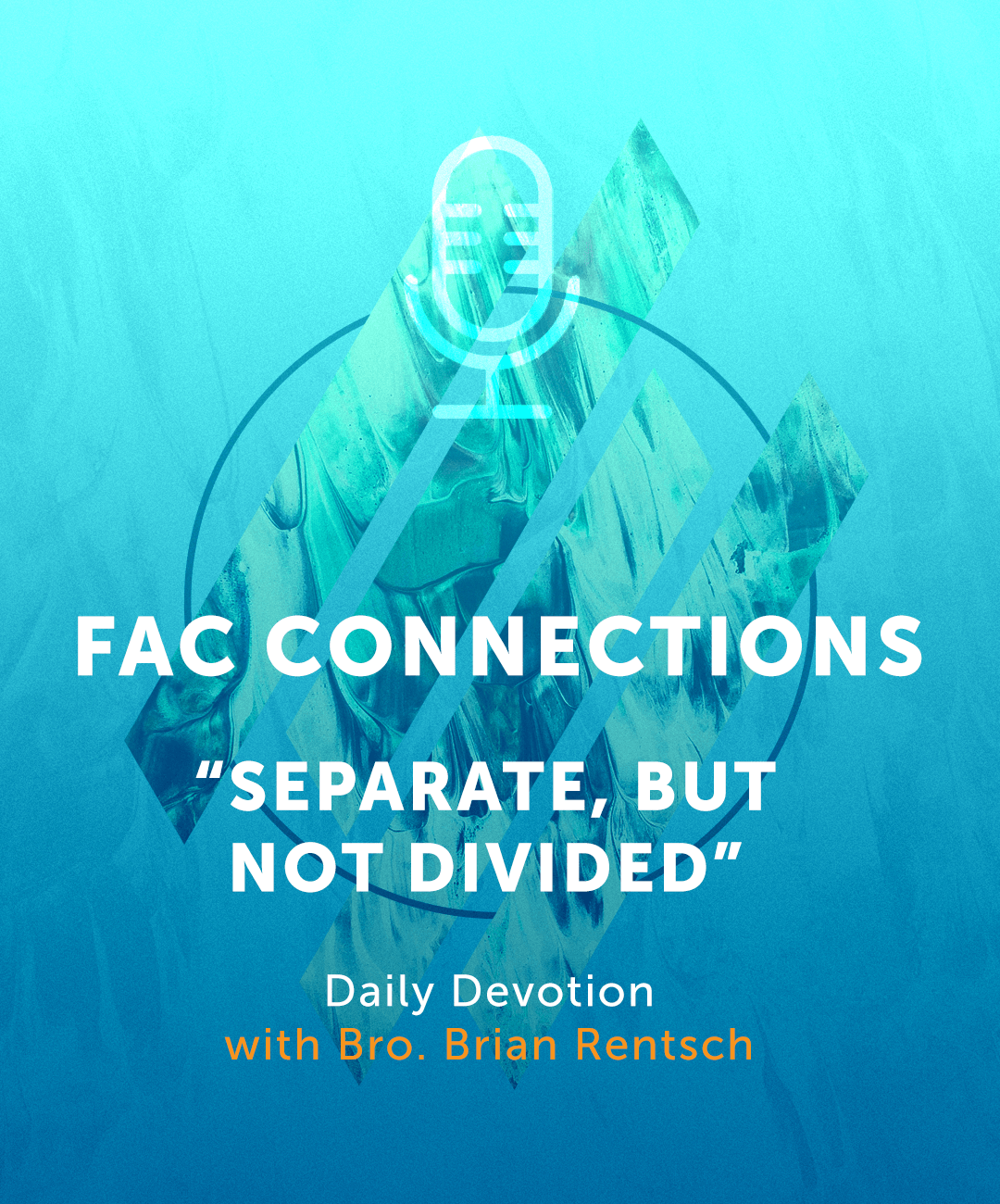 Separate But Not Divided - FAC TALLMADGE